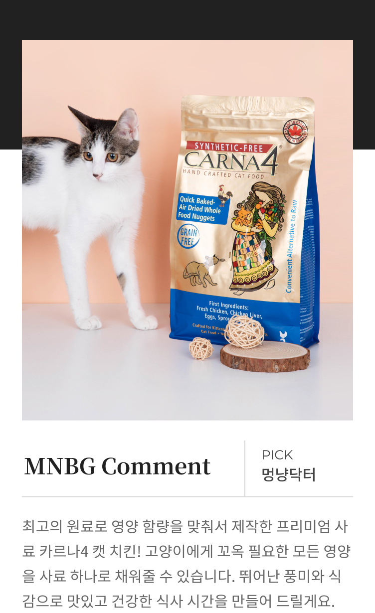 [오늘출발][카르나4] 그레인프리 캣 (옵션선택) - 현대Hmall